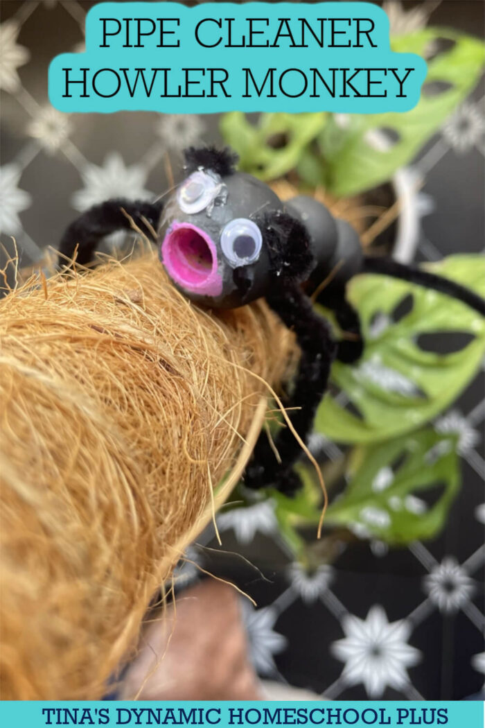 How To Make A Pipe Cleaner Monkey | Howler Monkey Fun Facts