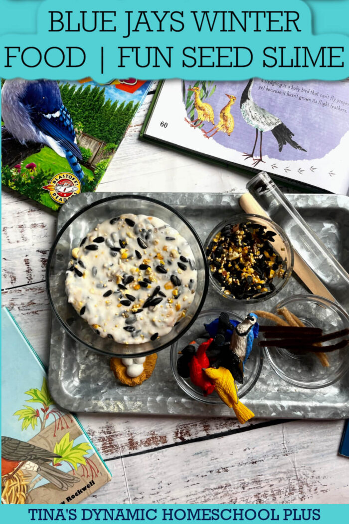 10 Winter Slime Ideas And How To Make Marshmallow Slime