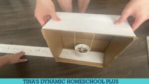 10 Hands On Earthquake Activities | How To Make A Model Seismometer