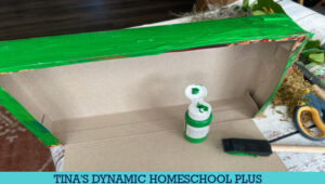 How to Make An Everglades Diorama: Explore the Wild Wetlands