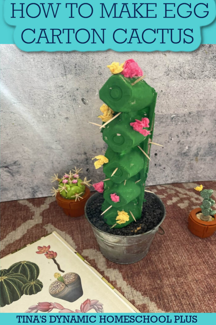 8 Desert Craft Ideas | How To Make Egg Carton Cactus