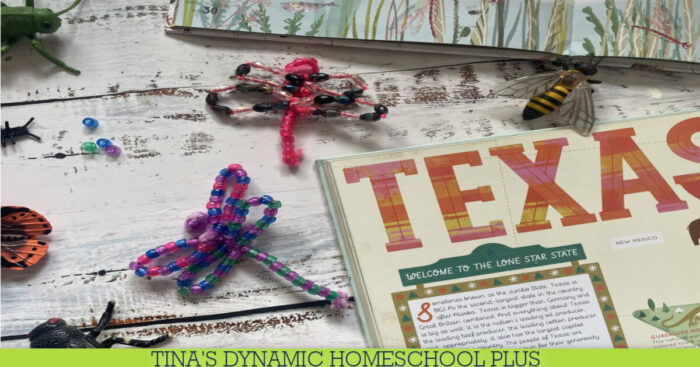 8 Insect Fun Facts About Texas For Kids | Easy Dragonfly Craft