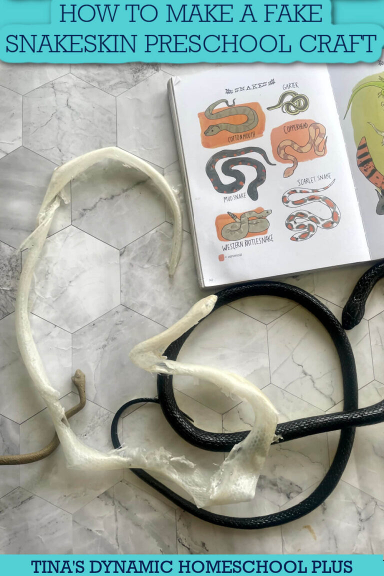 Celebrate Snakes | How To Make A Fake Snakeskin Snake Craft Preschool
