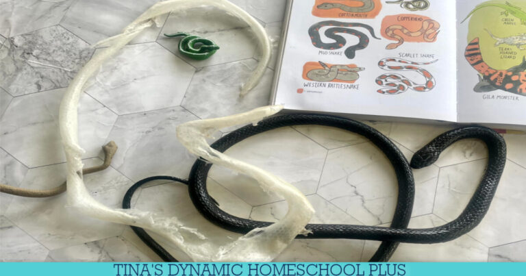 Celebrate Snakes | How To Make A Fake Snakeskin Snake Craft Preschool