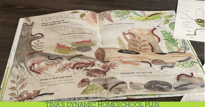 Free Kids Insect Unit Study┃ How to Make Clay Insects