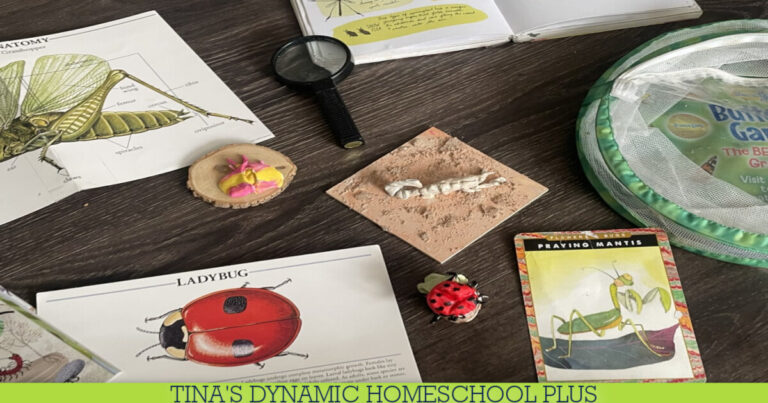 Free Kids Insect Unit Study┃ How to Make Clay Insects