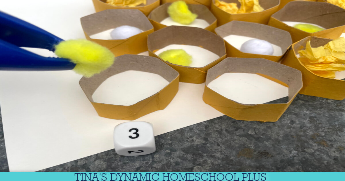 How to Make a Toilet Paper Roll Honeycomb Honey Bee Activity