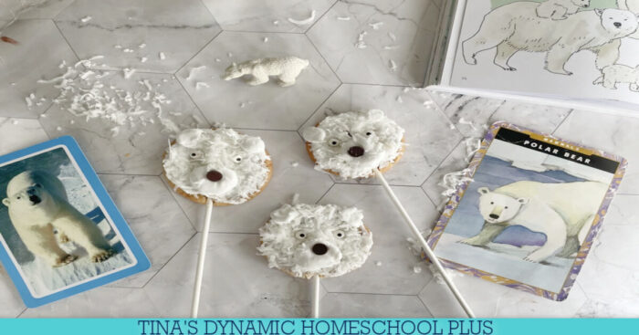 Polar Bear Science Activities Preschool | How To Make A Fun Dessert
