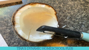 Embrace Island Life: How To Eat A Coconut Like Swiss Family Robinson