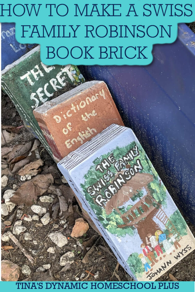 Survival to Inspiration The Swiss Family Robinson Book | Brick Book