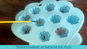 How To Make Your Own Edible Beach Sand And Shells: A Creative And ...