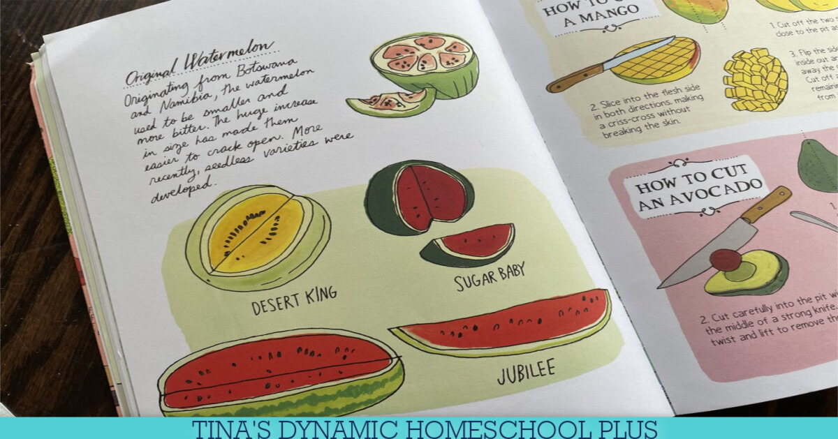 How to Make a Watermelon Sensory Bin for Play and Learning