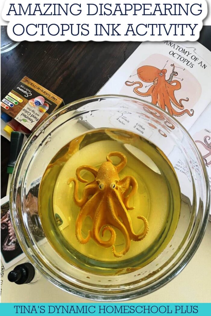 Under the Sea Science Activities With Amazing Disappearing Octopus Ink