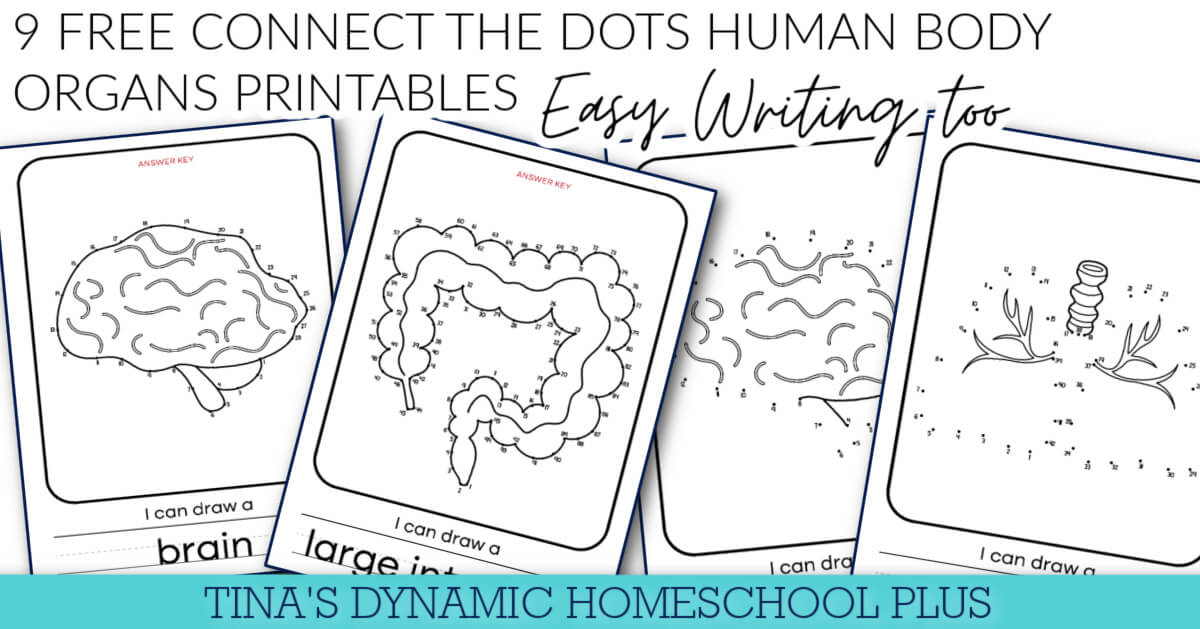 Free Human Body Printables Homeschool Printables For Free