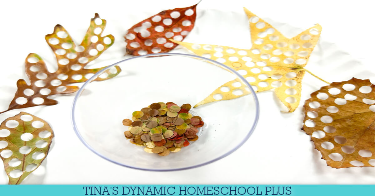 How To Make Confetti Fall Leaves Crafts For Preschoolers