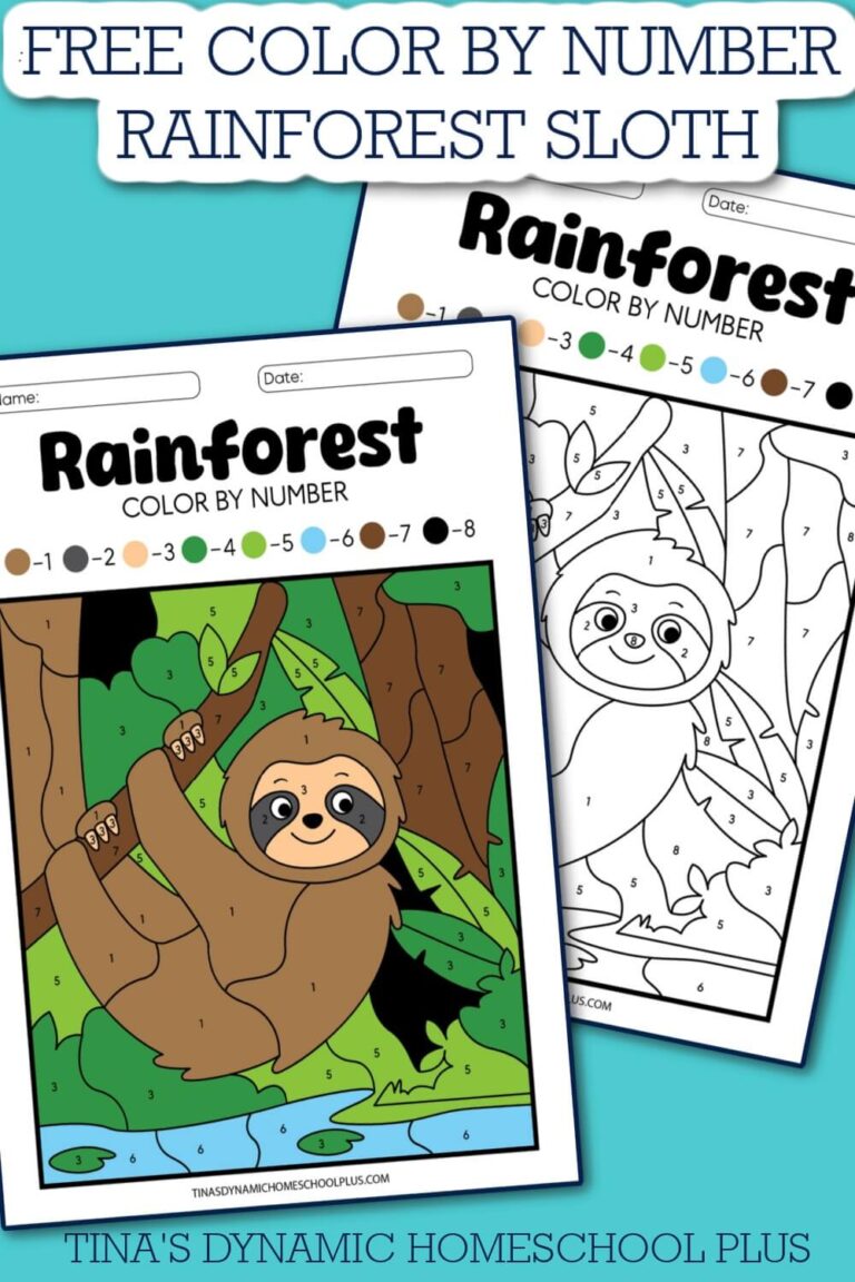The Wonders of Nature: Free Color by Number Rainforest Habitat Page