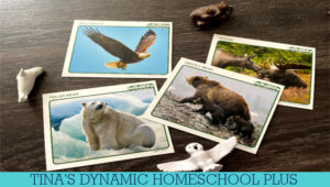 Free Alaska Unit Study and Best Hands-on Ideas