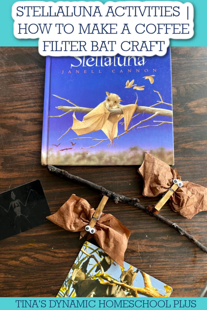 8 Stellaluna Kindergarten Activities | How To Make A Coffee Filter Bat ...