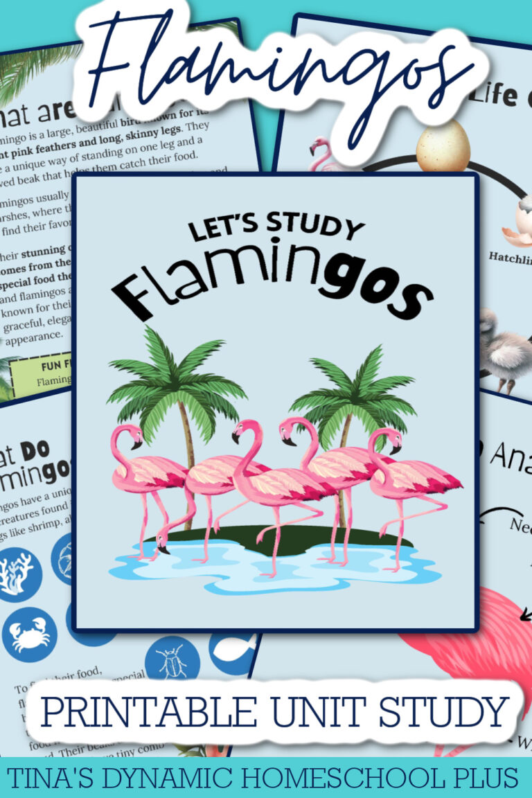 Dynamic and Beautiful Flamingo PrintableThemed Informational Packet for ...