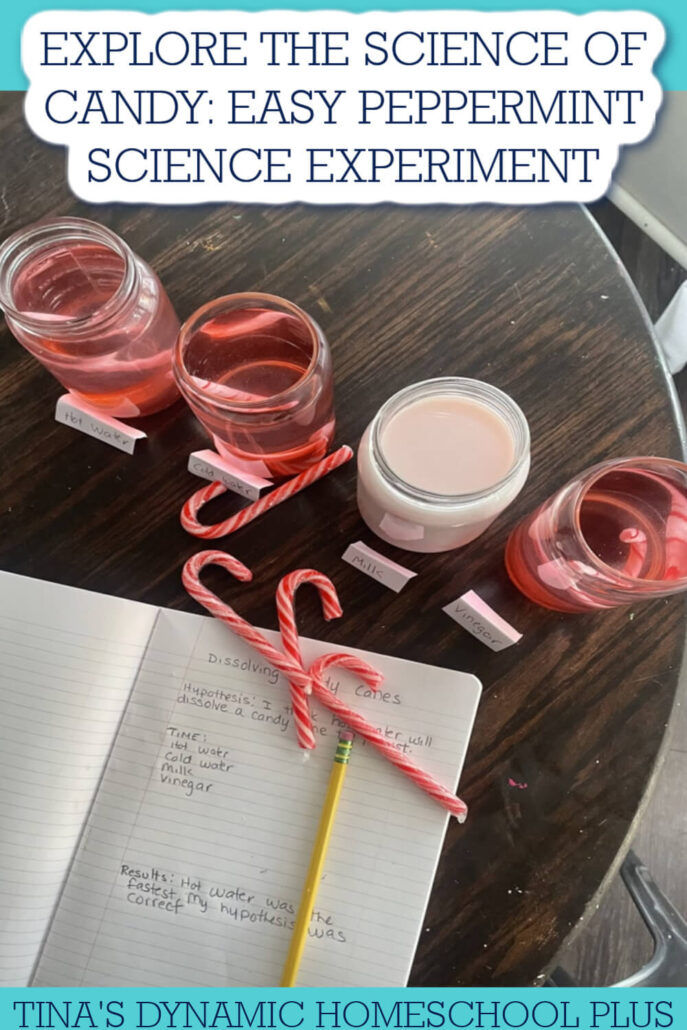 Explore The Science Of Candy Easy Peppermint Science Experiment