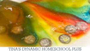 Colorful Chemistry: Exciting M&M Science Experiment To Try At Home
