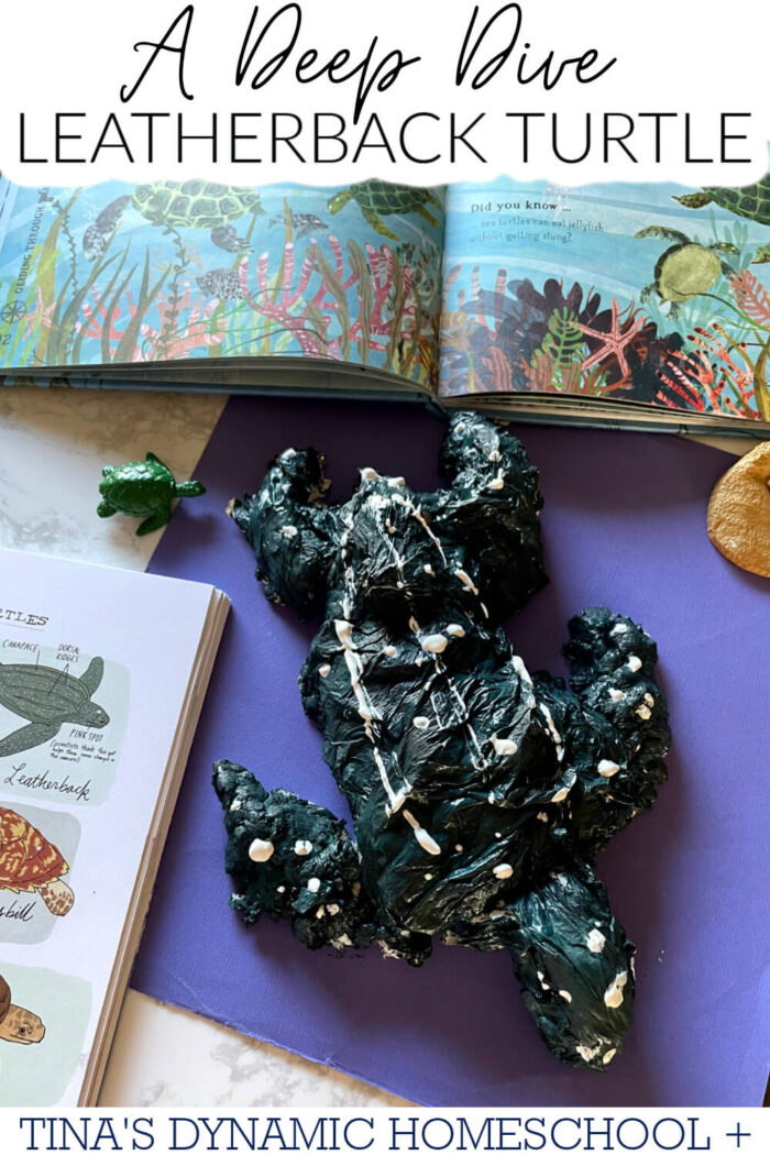 Leatherback Turtle Life Cycle: A Deep Dive into Their Journey