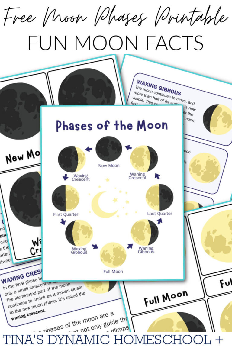 Fun Moon Facts For Kids And Free Moon Phases Printable