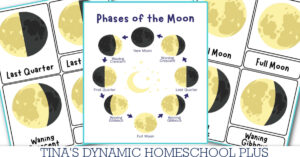 Fun Moon Facts For Kids And Free Moon Phases Printable
