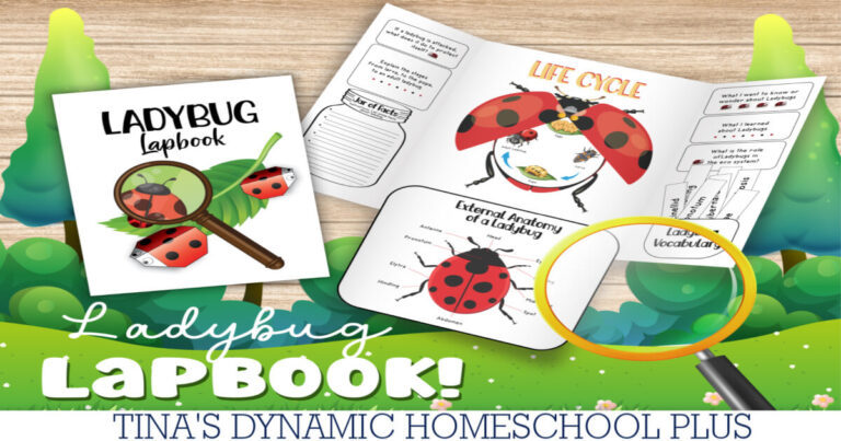 Free Ladybug Lapbook for Kids Who Love Hands-On Learning