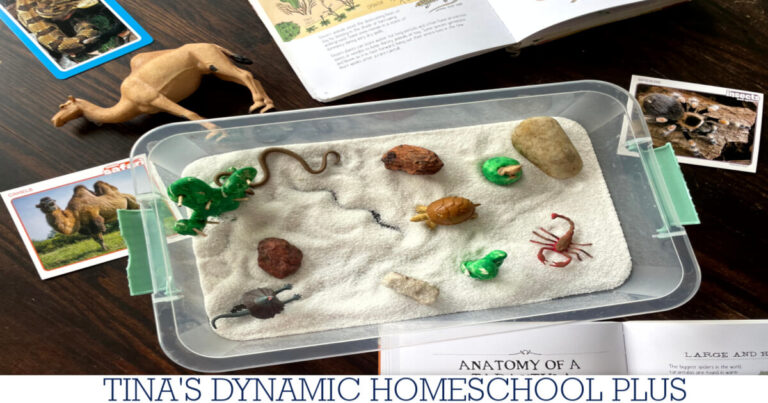 How To Create An Engaging Desert Sensory Bin For Hands-On Play
