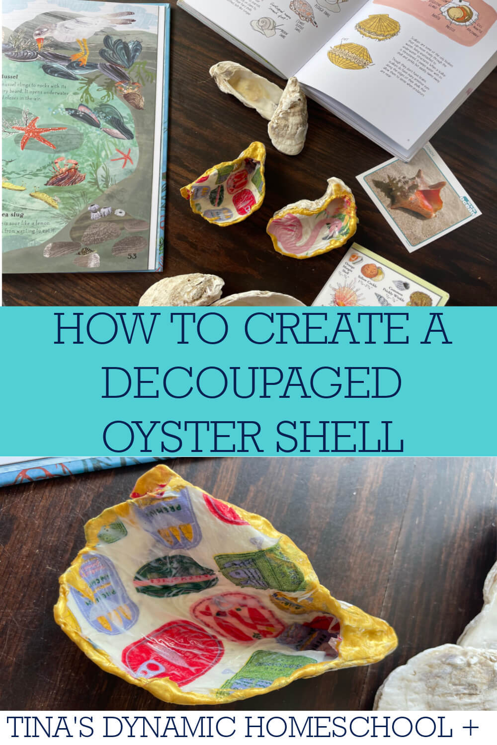 Cool Facts About Mollusks | How To Create A Decoupaged Oyster Shell