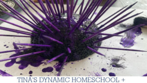 How To Make A Simple Sea Urchin Craft: Echinoderms For Kids