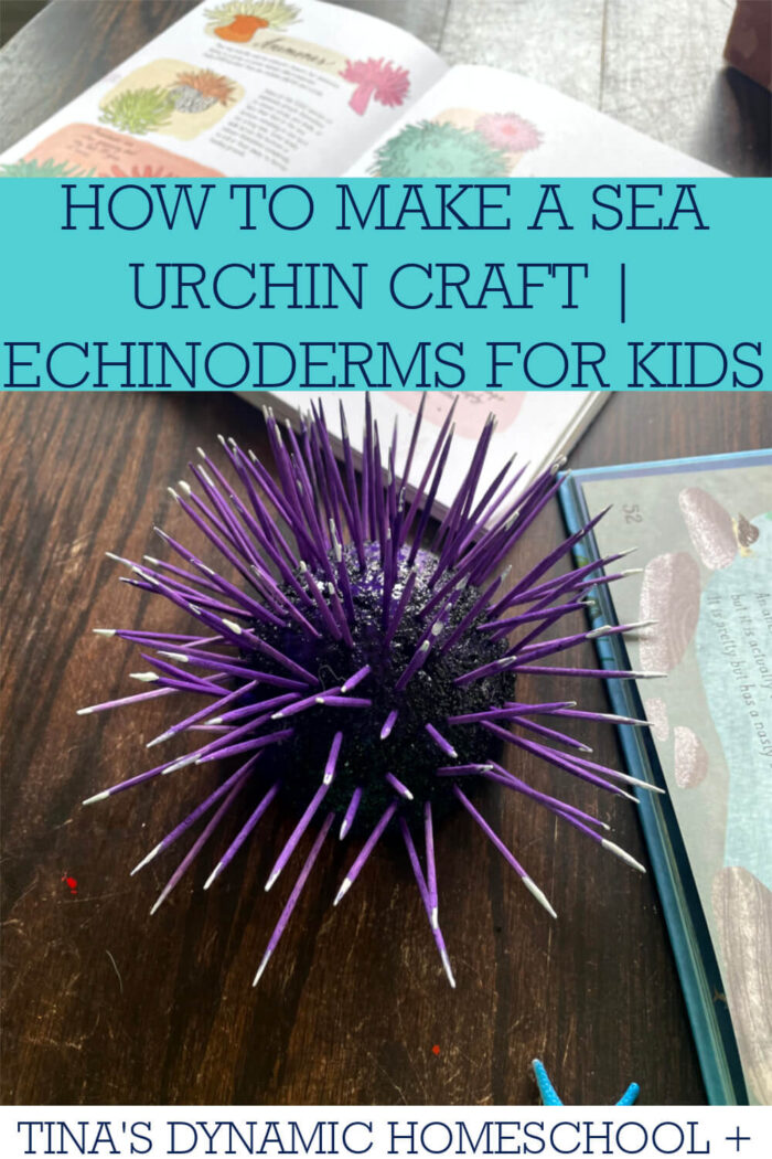 How To Make A Simple Sea Urchin Craft: Echinoderms For Kids