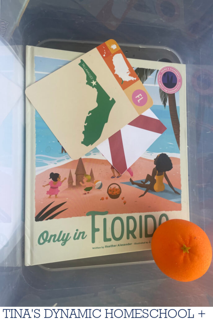 How To Teach The 50 States To Preschoolers | 50 States Busy Book