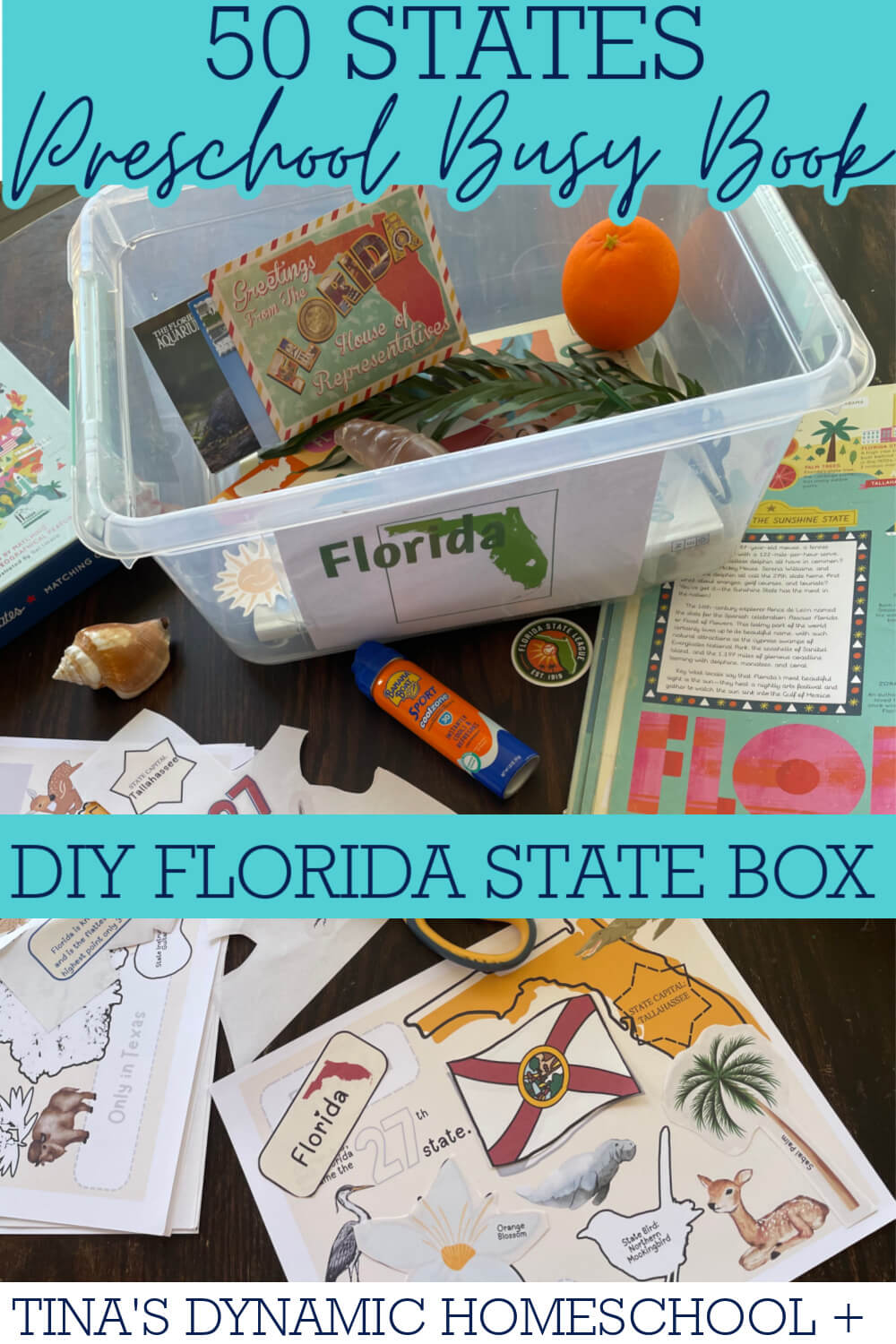 How To Teach The 50 States To Preschoolers | 50 States Busy Book