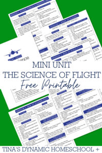What Makes Things Fly | Free Science Of Flight Printable