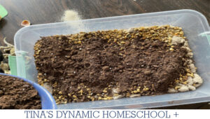 3 Dinosaur Stem Activities Elementary Kids Will Love