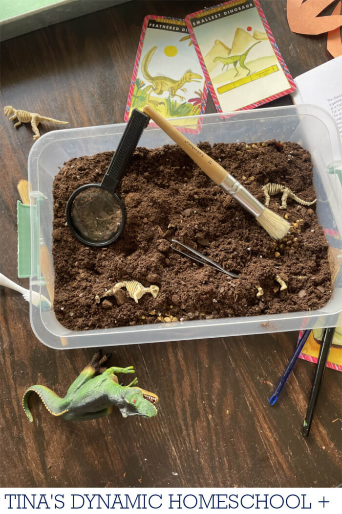 3 Dinosaur Stem Activities Elementary Kids Will Love