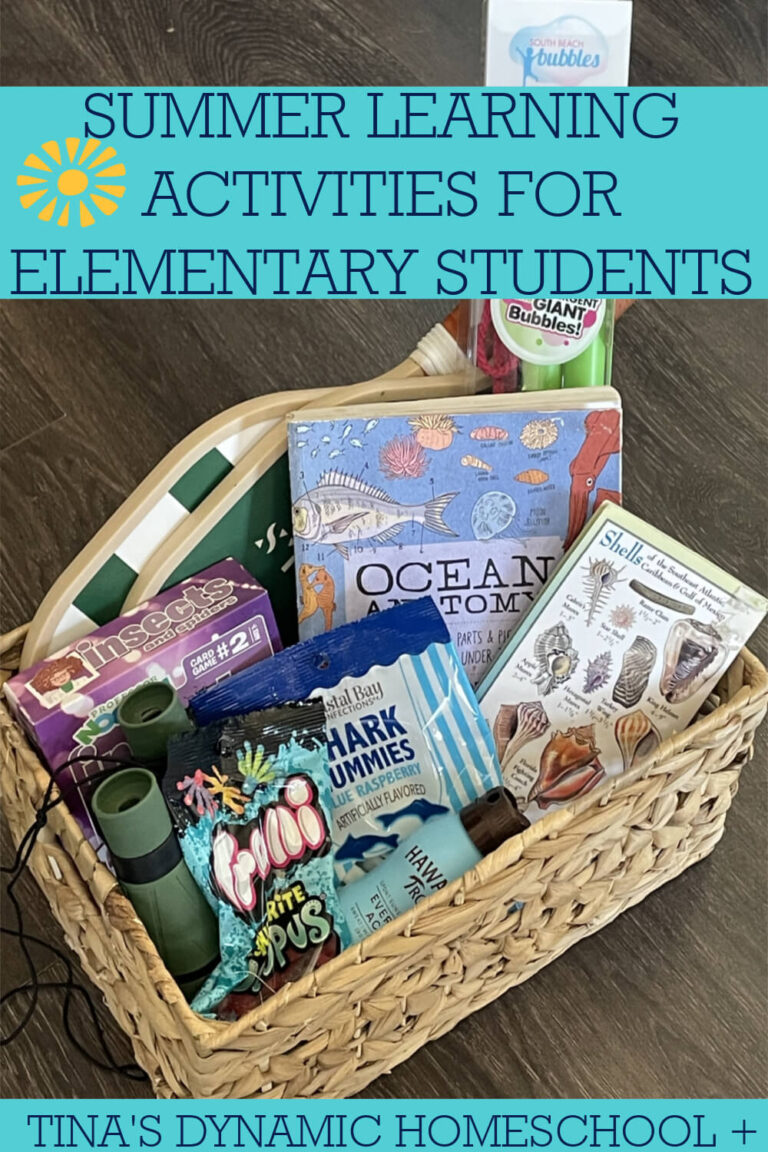 Exciting Summer Learning Activities for Elementary Students Who Love ...