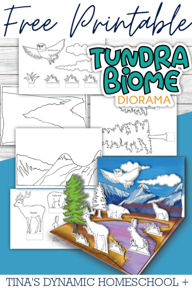 How To Make A Tundra Biome Diorama With Free Printables