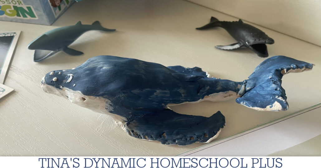 How to Make a Humpback Whale & More Zoology Activities for Elementary ...