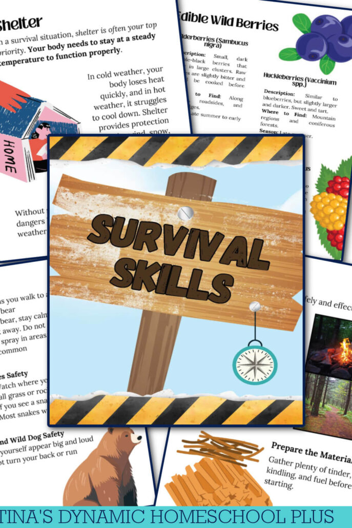 Quick And Easy Study: Survival Skills