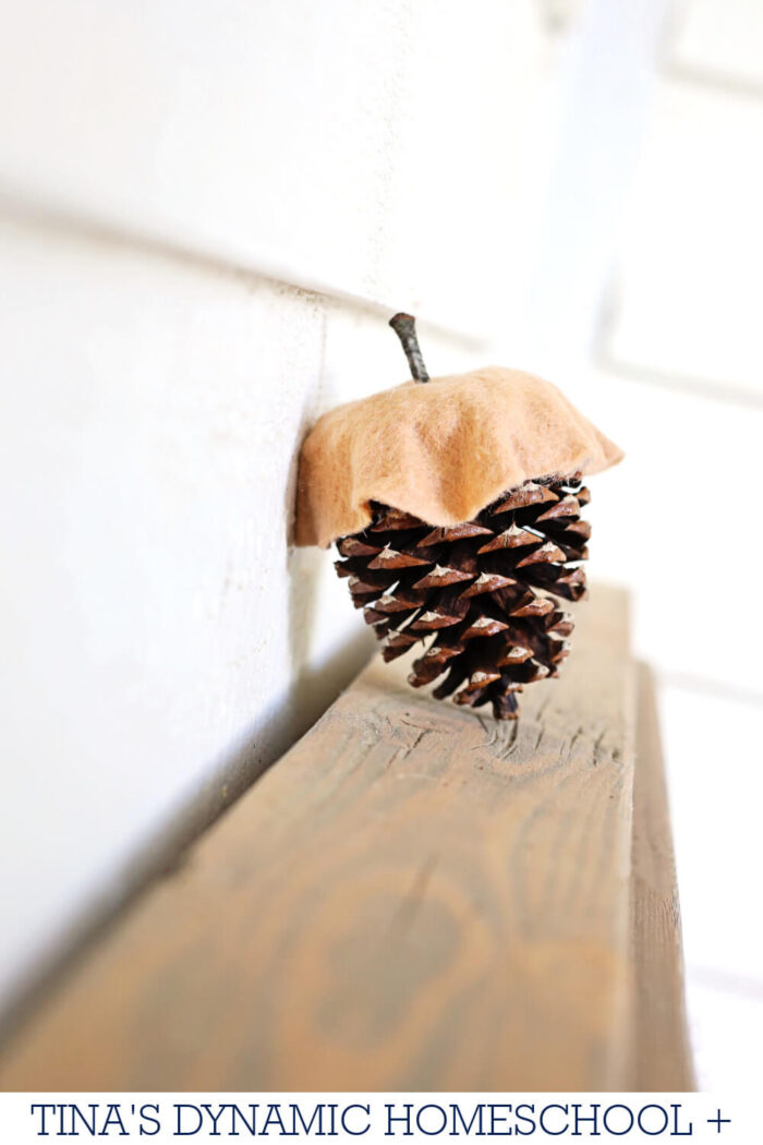 10 Easy Acorn and Pinecone Crafts to Make This Autumn