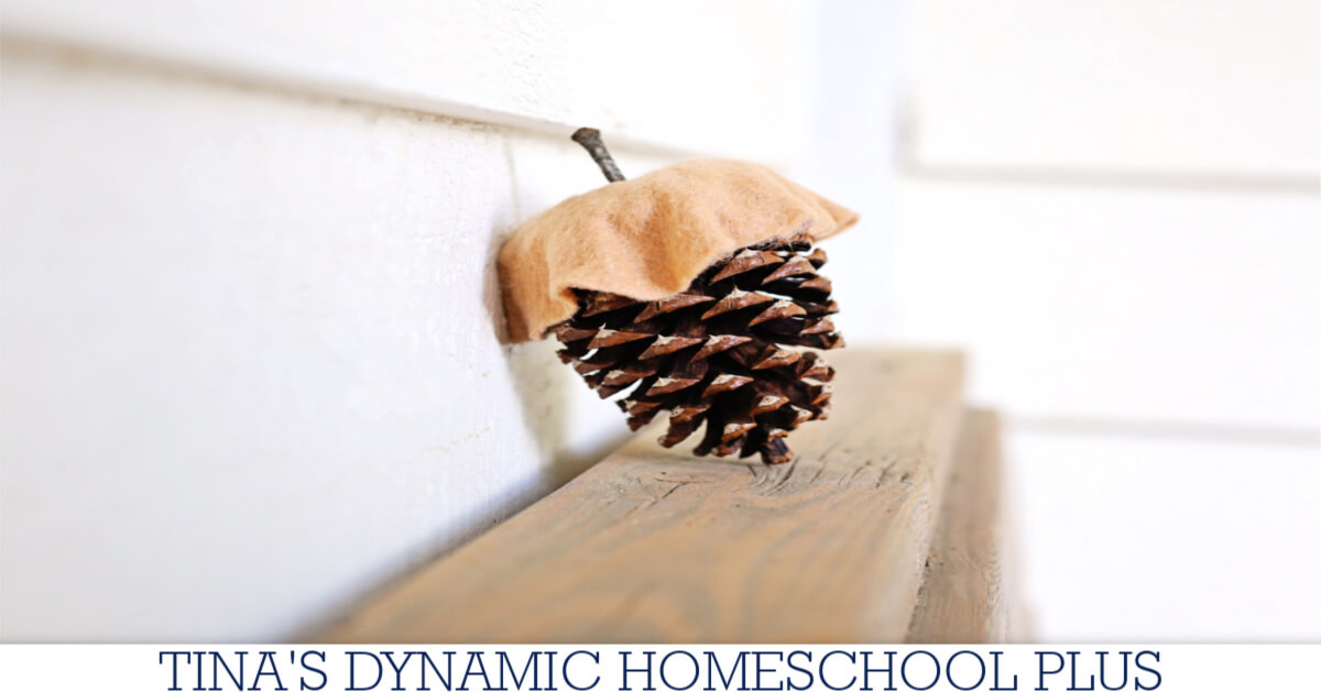 10 Easy Acorn and Pinecone Crafts to Make This Autumn