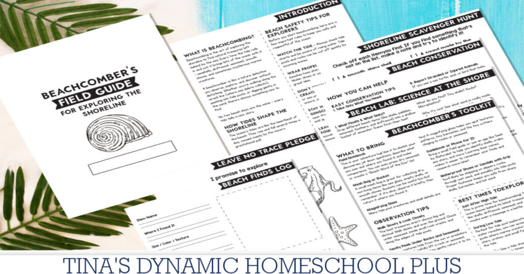 Awesome Beach Crafts And Free Beach Comber Field Guide