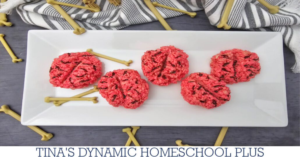 How To Create An Edible Brain Model For Fun Science