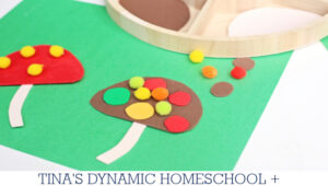 How To Design A Mushroom Preschool Sensory Tray