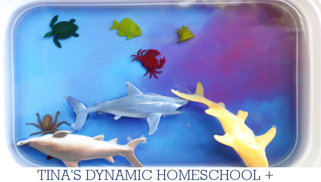 How To Make An Ocean Currents For Kids Sensory Bin