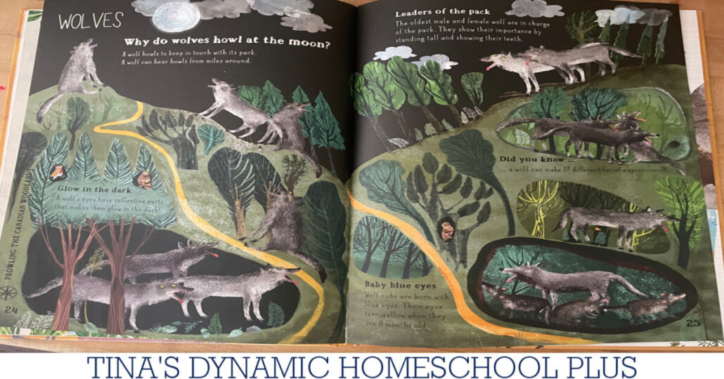 Wolf Preschool Craft And Simple Ideas For Creative Play