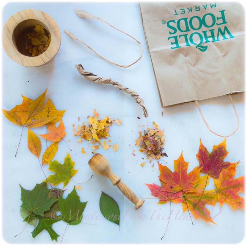 Fall Nature Crafts & How To Make A Pumpkin Nature Collage